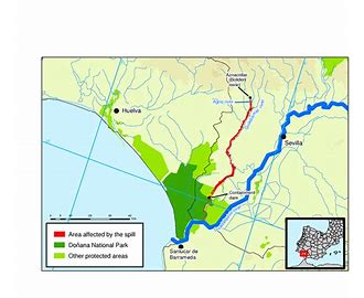 What does EEA stand for?