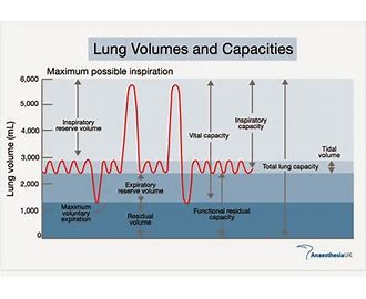 مخفف FVC چیست