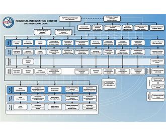 مخفف NYPD چیست
